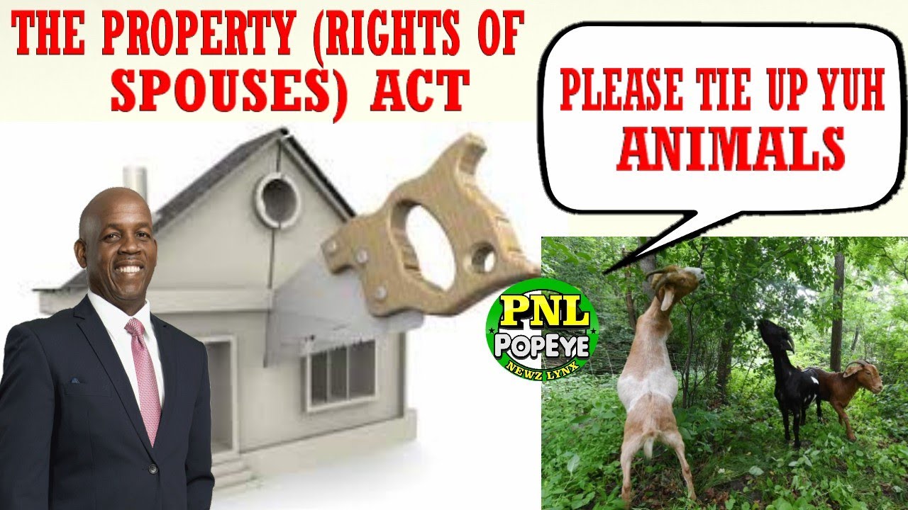 EPISODE 8 - The Property (Rights Of Spouses) Act + Rights Of Farmers ...