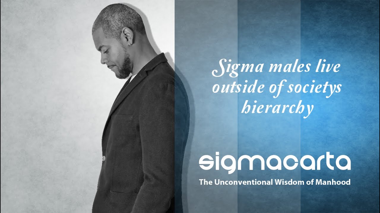 Sigma males live outside of society's hierarchy - YouTube