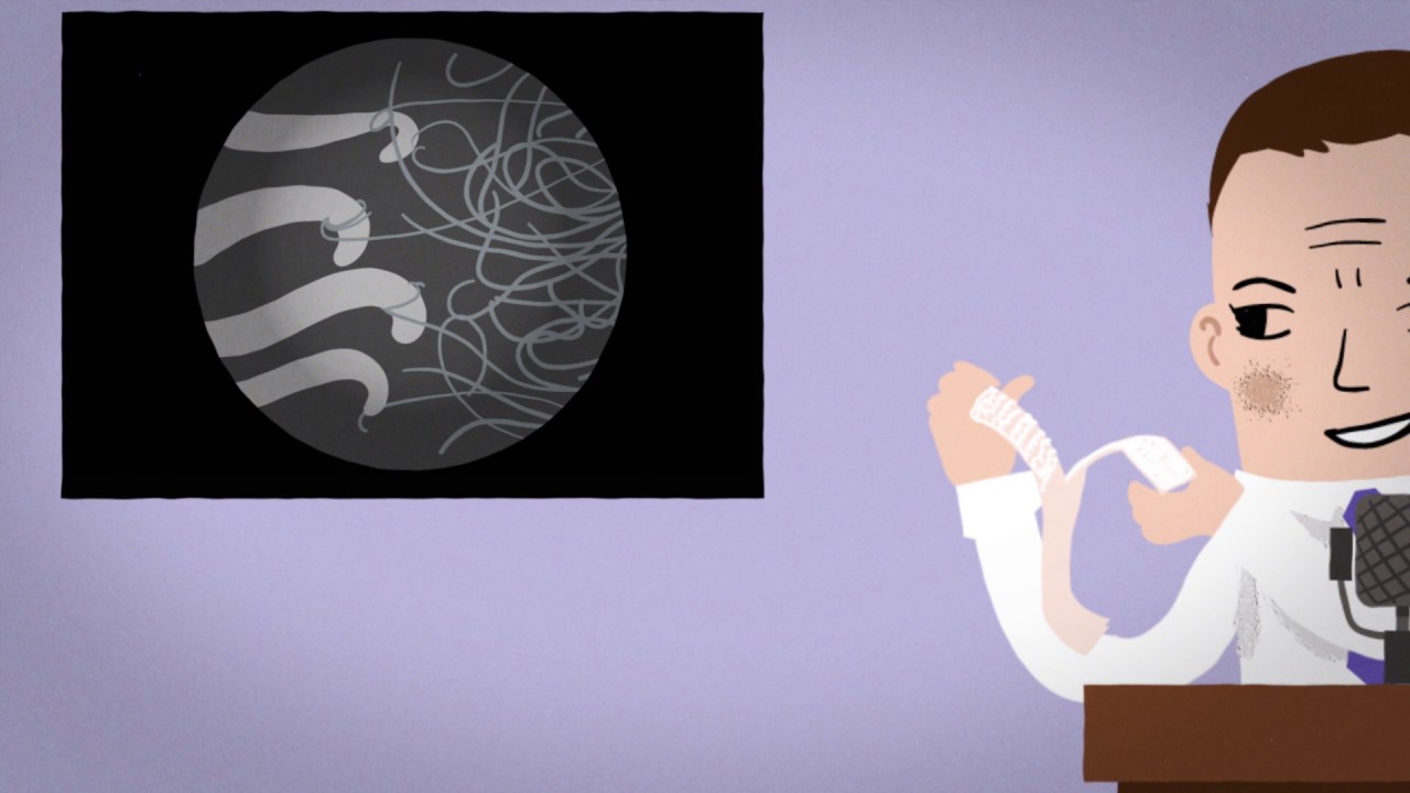 Who Invented VELCRO® Brand Fasteners? - YouTube