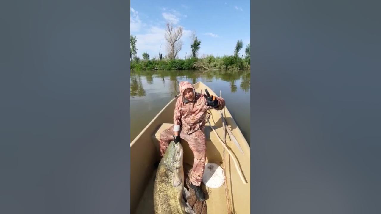 Рыбалка в Астрахани, сом 30 кг#fishing #рыбалка#кайф ю#отдых#бомба#топ ...