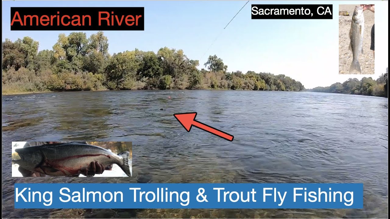 American River Salmon & Trout Fishing - YouTube