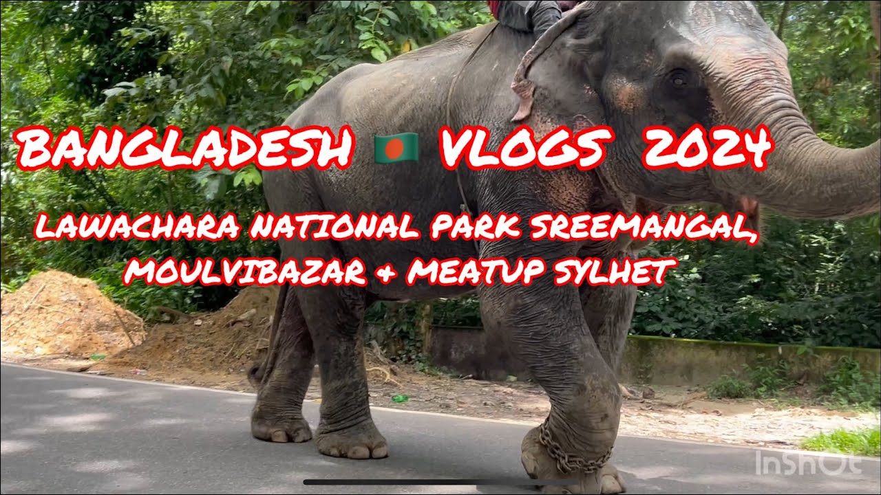 MEAT UP RESTAURANT SYLHET, | BANGLADESH 🇧🇩 VLOGS | LAWACHARA NATIONAL ...