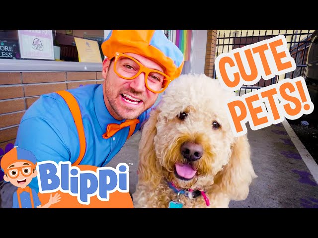 Blippi Takes Care of Cute Pets in the Animal Shelter | Blippi Full ...