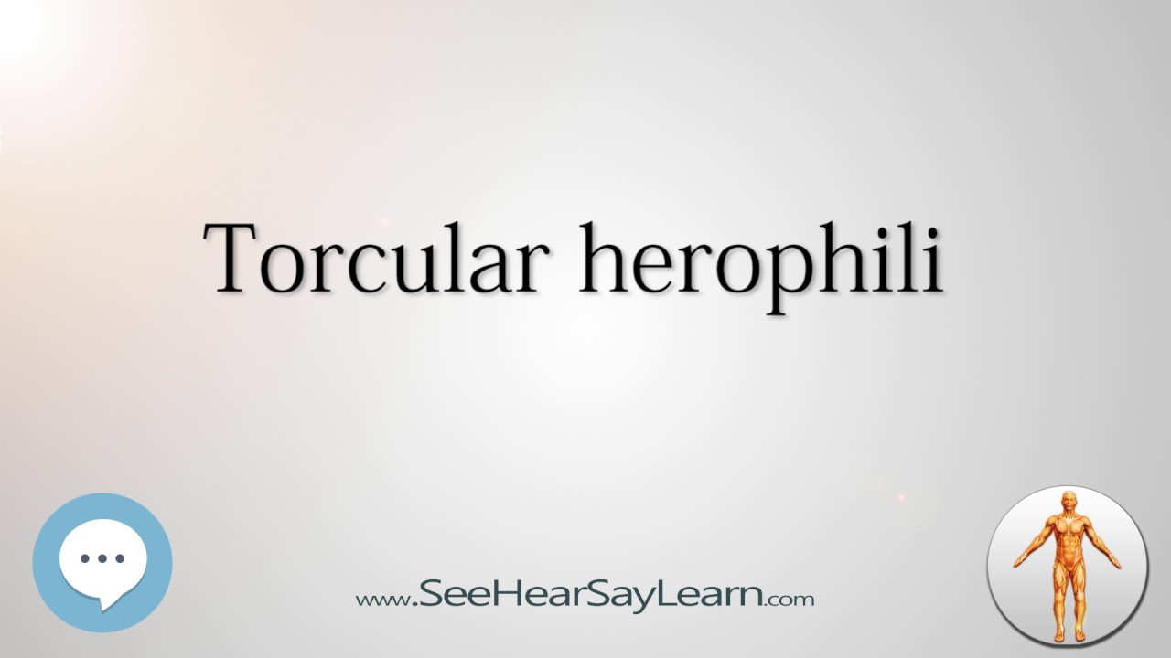 Torcular herophili Anatomy Named After People 🔊 - YouTube
