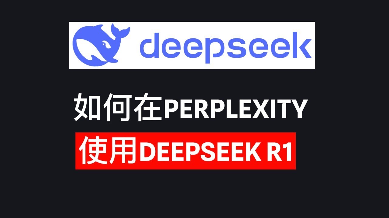 如何在Perplexity上使用DeepSeek R1 - YouTube