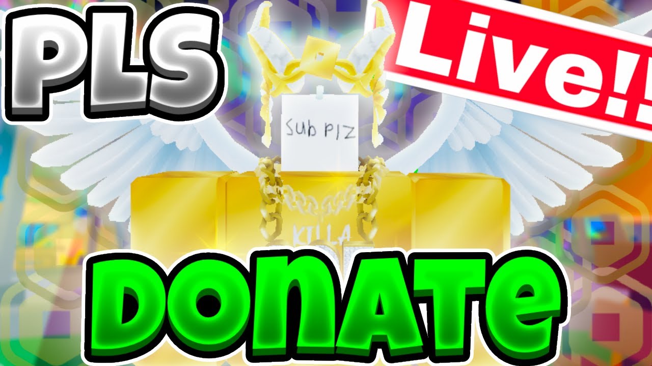 PLS DONATE💸 PLAYING WITH HAZEM? NIKKOCODER SMITED 5+people and CRASHED ...