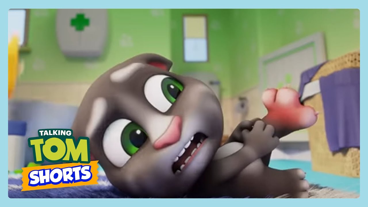 Talking Tom Pie Dolorido | Talking Tom | Wildbrain Niños - YouTube