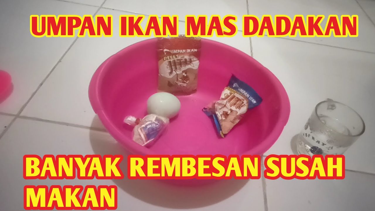 Umpan Dadakan...!! UMPAN IKAN MAS PELET JITU MERAH,UMPAN IKAN MAS SUSAH ...