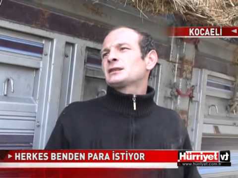 OĞLUM BAK GİT  HERKES BENDEN PARA İSTİYOR