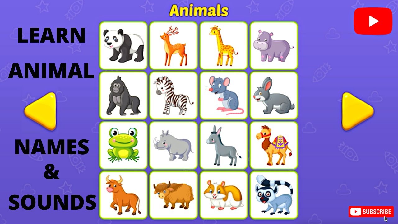 Animal Names & Sounds | Easy Basic English for Kids | Learn Animal ...