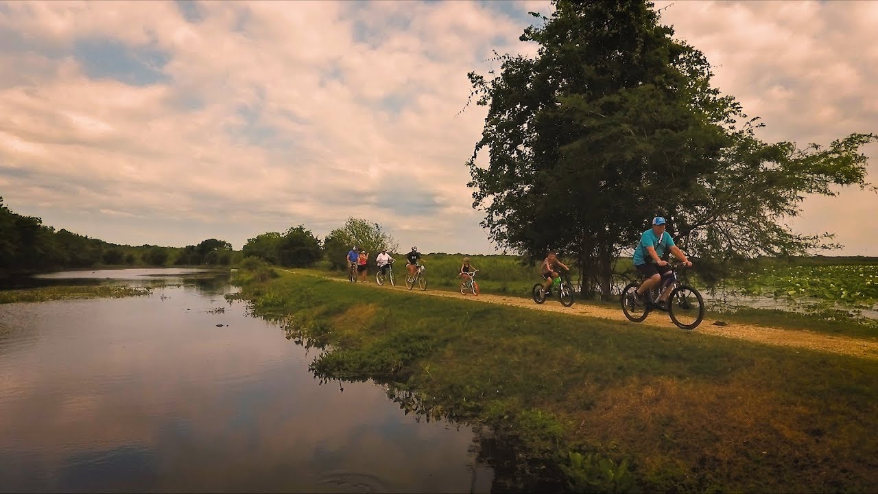 Brazos Bend State Park, Texas - YouTube