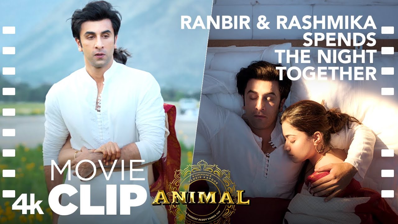 ANIMAL Movie Scene: Ranvijay -Geetanjali Spends the Night Together ...