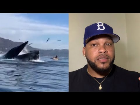 Whale eats a man and he lives - YouTube