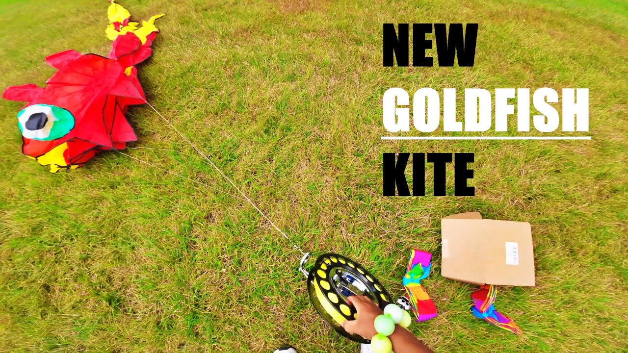 KITE VLOG 2 FLYING A LARGE KITE 2 - YouTube