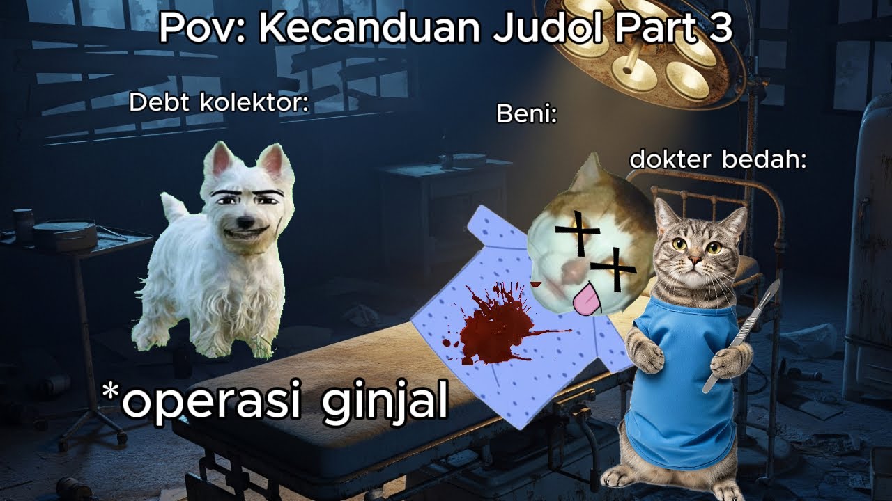 Pov : Kecanduan Judi Online Part 3 | meme kucing 🤣 68 - YouTube
