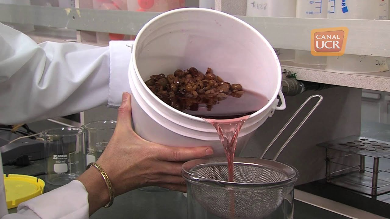 Pigmento a base de Broza de café, por Luis Ruiz (2015) - YouTube