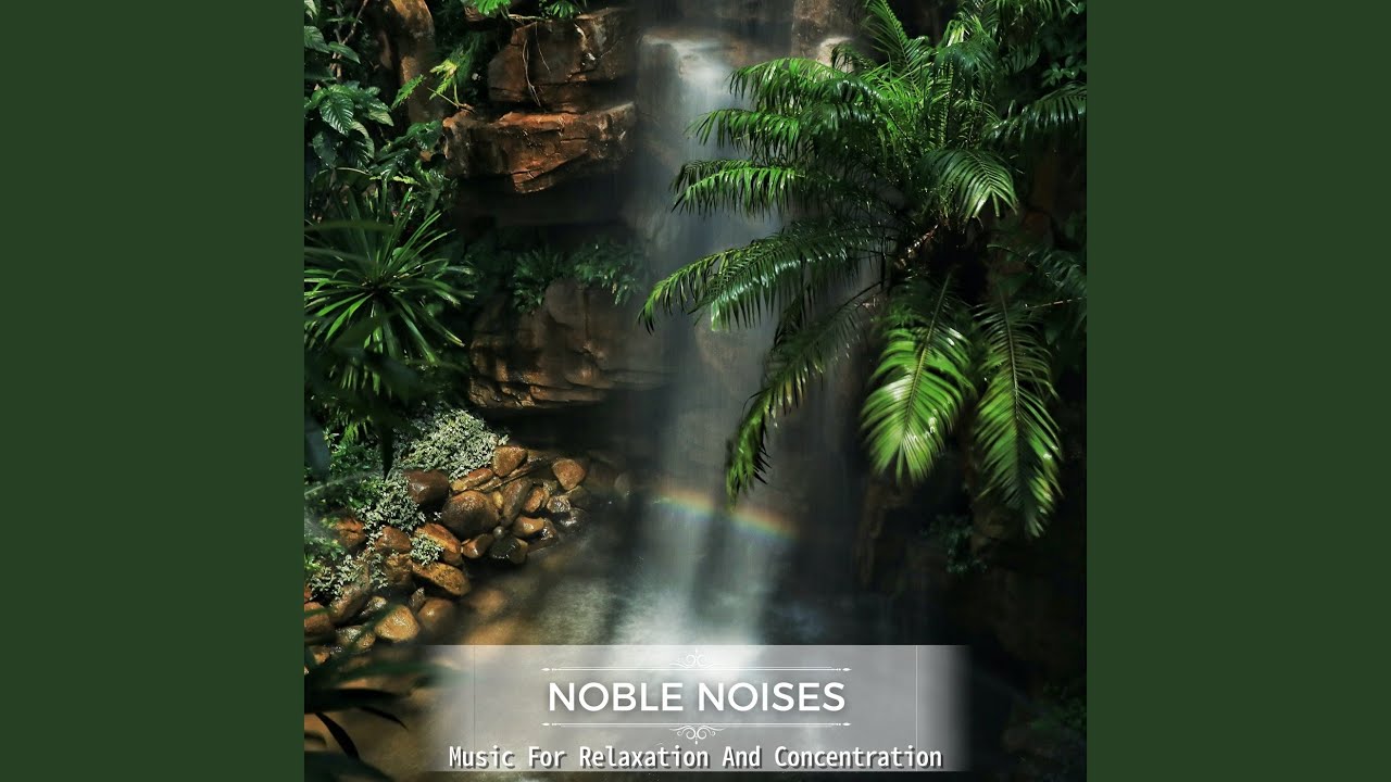 Reflective Pause and Bloom - YouTube