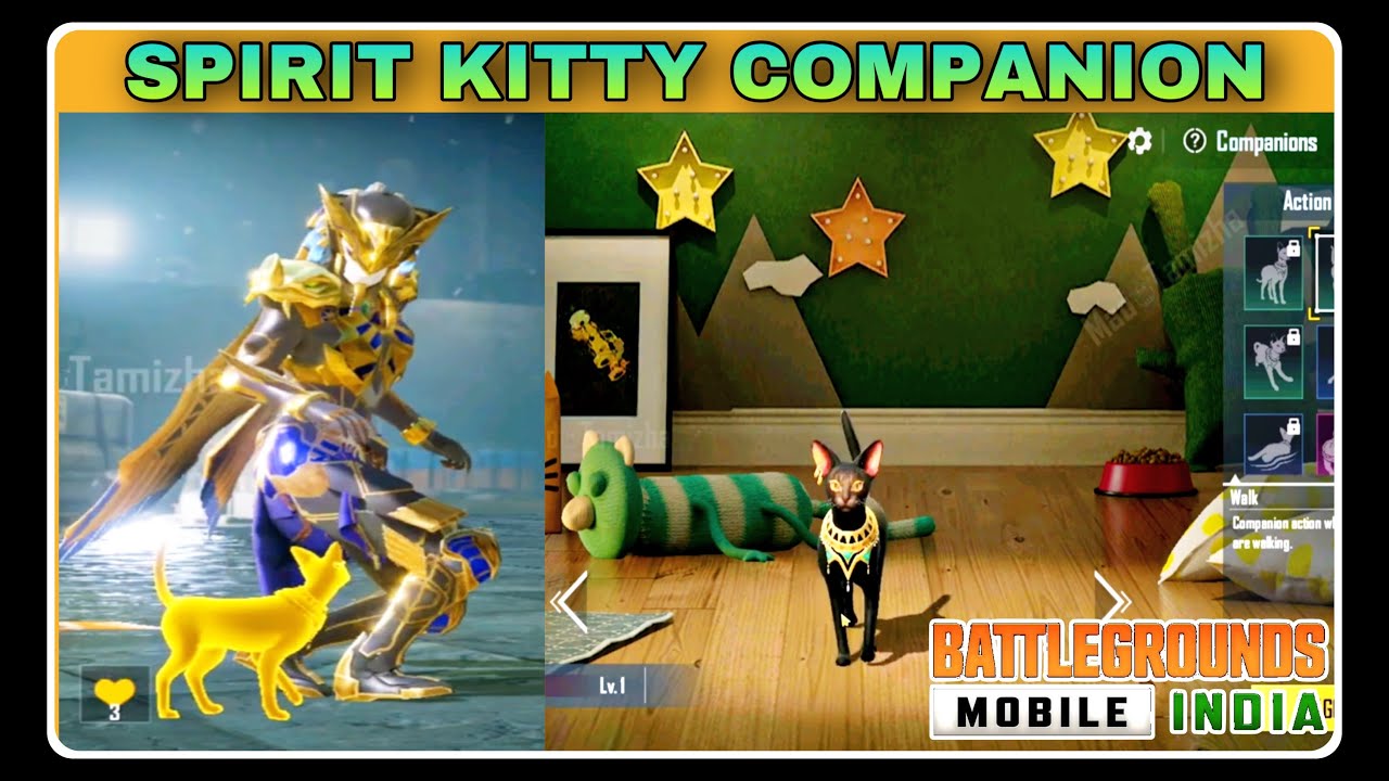 SPIRIT KITTY COMPANION COMPLETE LOOK😍|| @BattlegroundsMobile_IN - YouTube