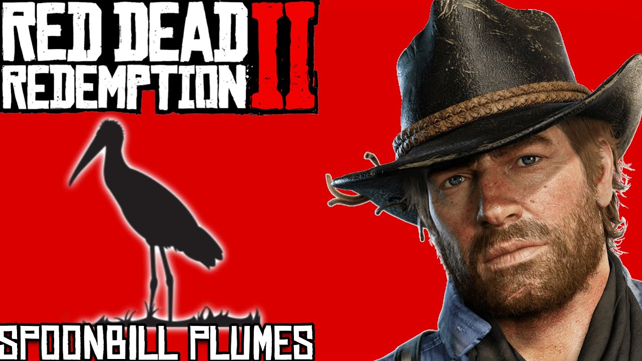 RDR2 | Spoonbill Plume Location | RARE EXOTICS - YouTube