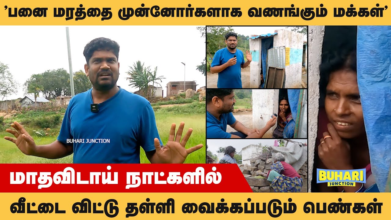 Village life in SOLAGAR THOTTI Tribe | பனை மரத்தை கடவுளாக வணங்கும் ...