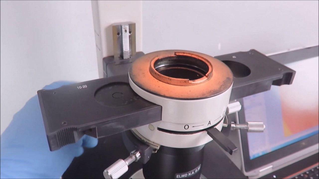 Fisher Micromaster Microscope with Digital Imaging System - YouTube