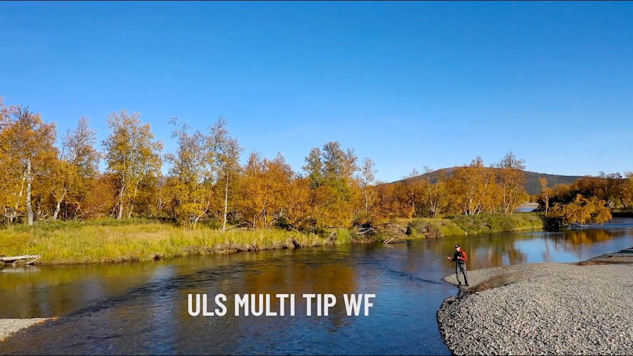 ULS WF Multi Tip Fly Line - YouTube