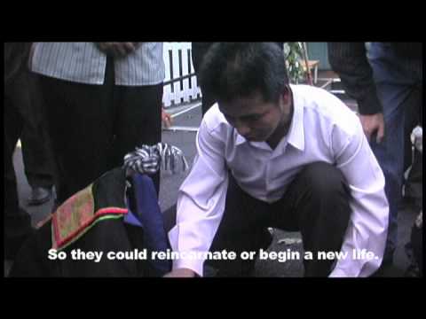 Tso Plig: Let the Spirit Fly - YouTube