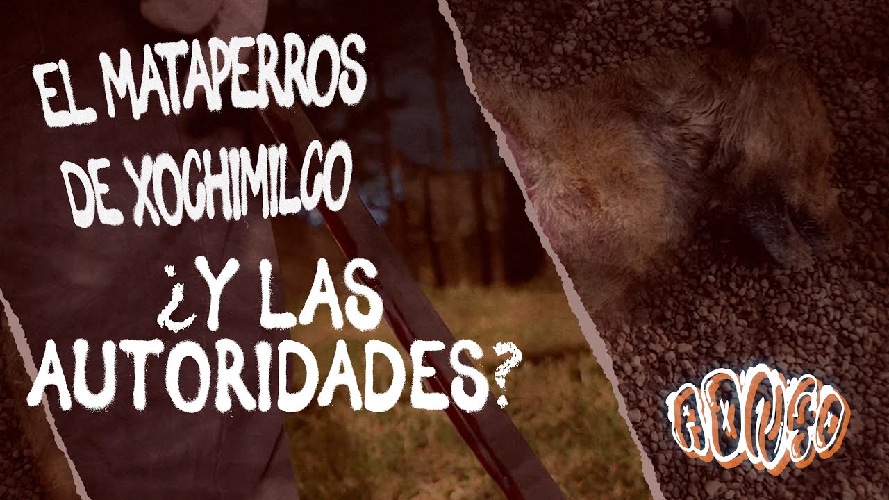 El Mataperros de Xochimilco: ¿Y las autoridades? I Capítulo 4 - YouTube