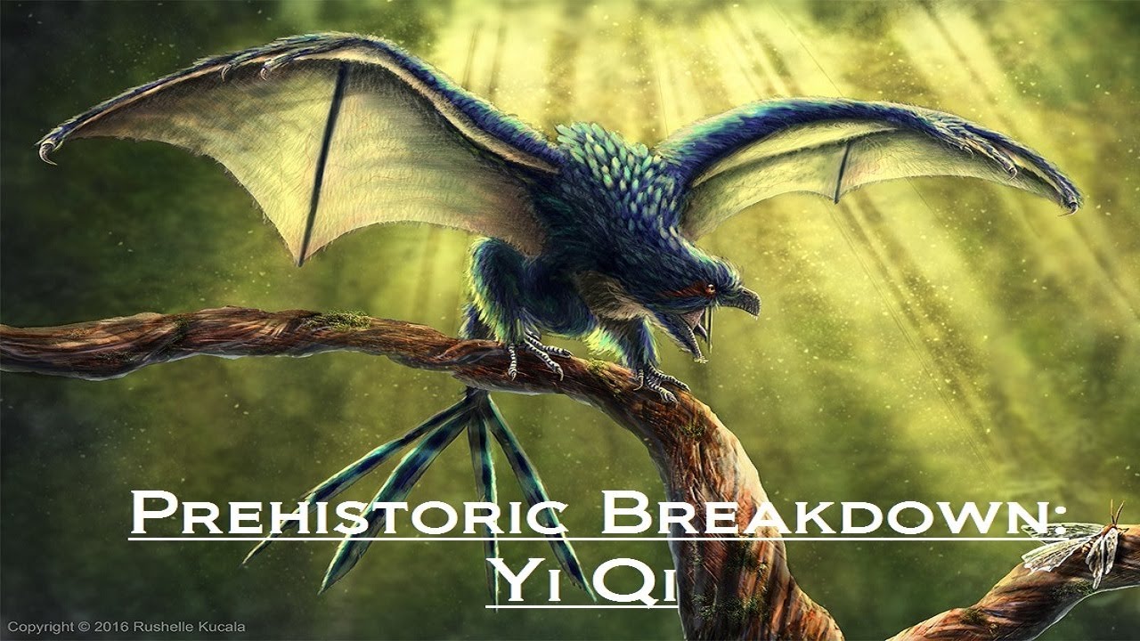 Prehistoric Breakdown: Yi Qi - YouTube