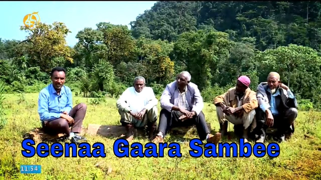 Seenaa Gaara Sambee - YouTube