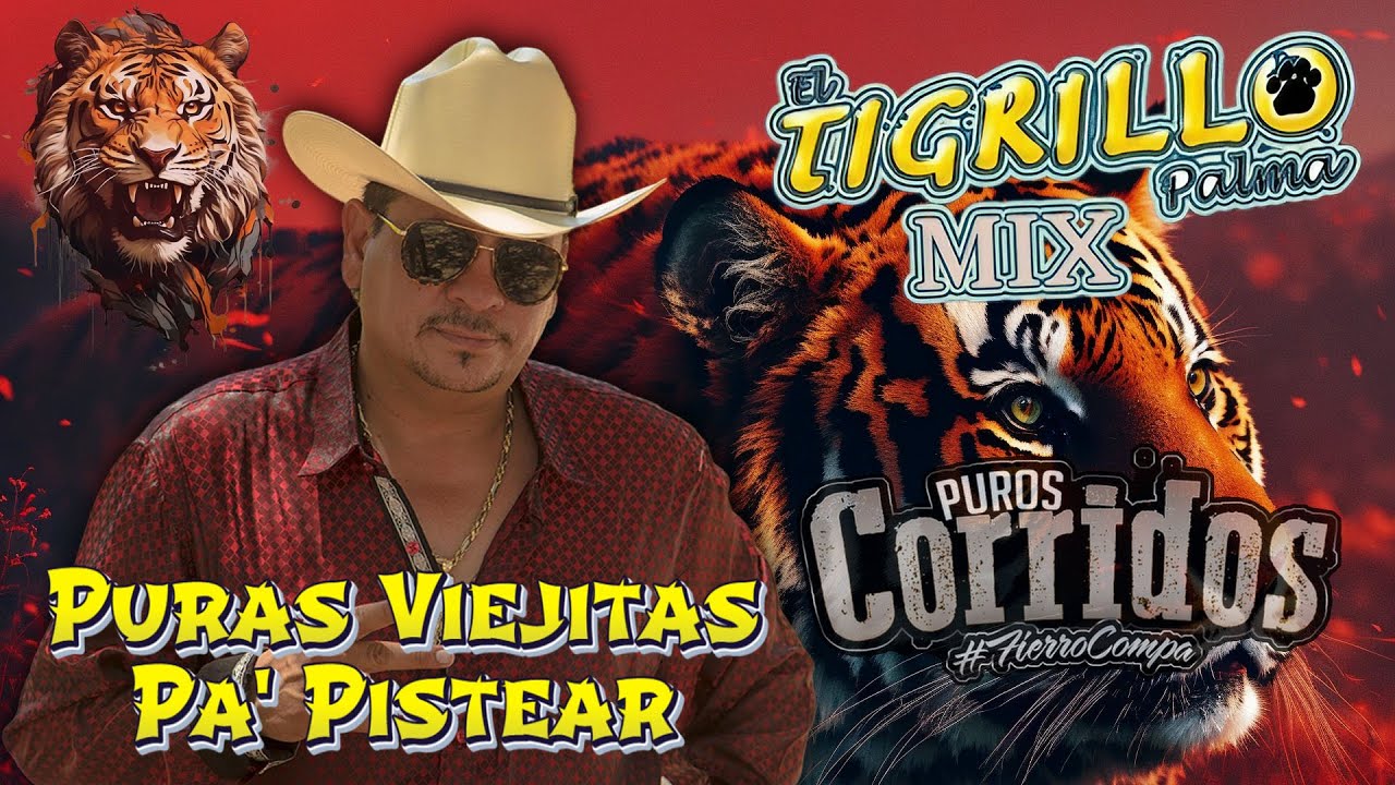 El Tigrillo Palma ( 30 Exitos ) - Corridos Pesados Mix - Mix Para ...