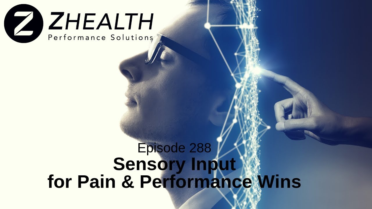 Sensory Input for Pain & Performance Wins - YouTube