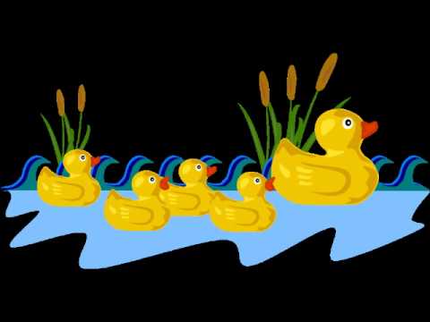 Quacky Duck - YouTube