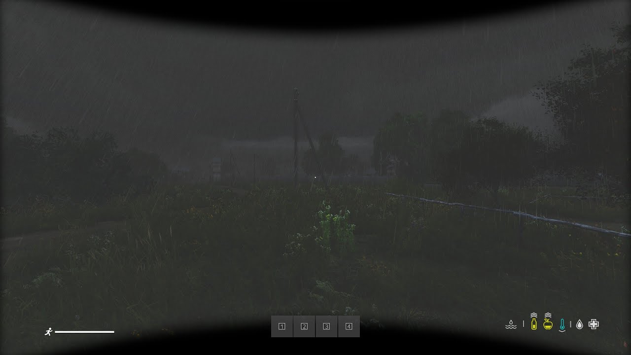 DayZ /#01 : Fog and Rain make visibility difficult (Chernarus Map) (EN ...
