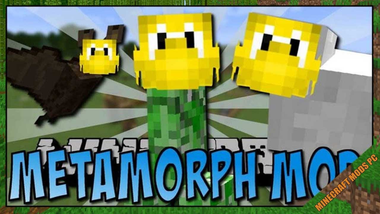 Metamorph Mod 1.12.2 - Minecraft Mods for PC - YouTube