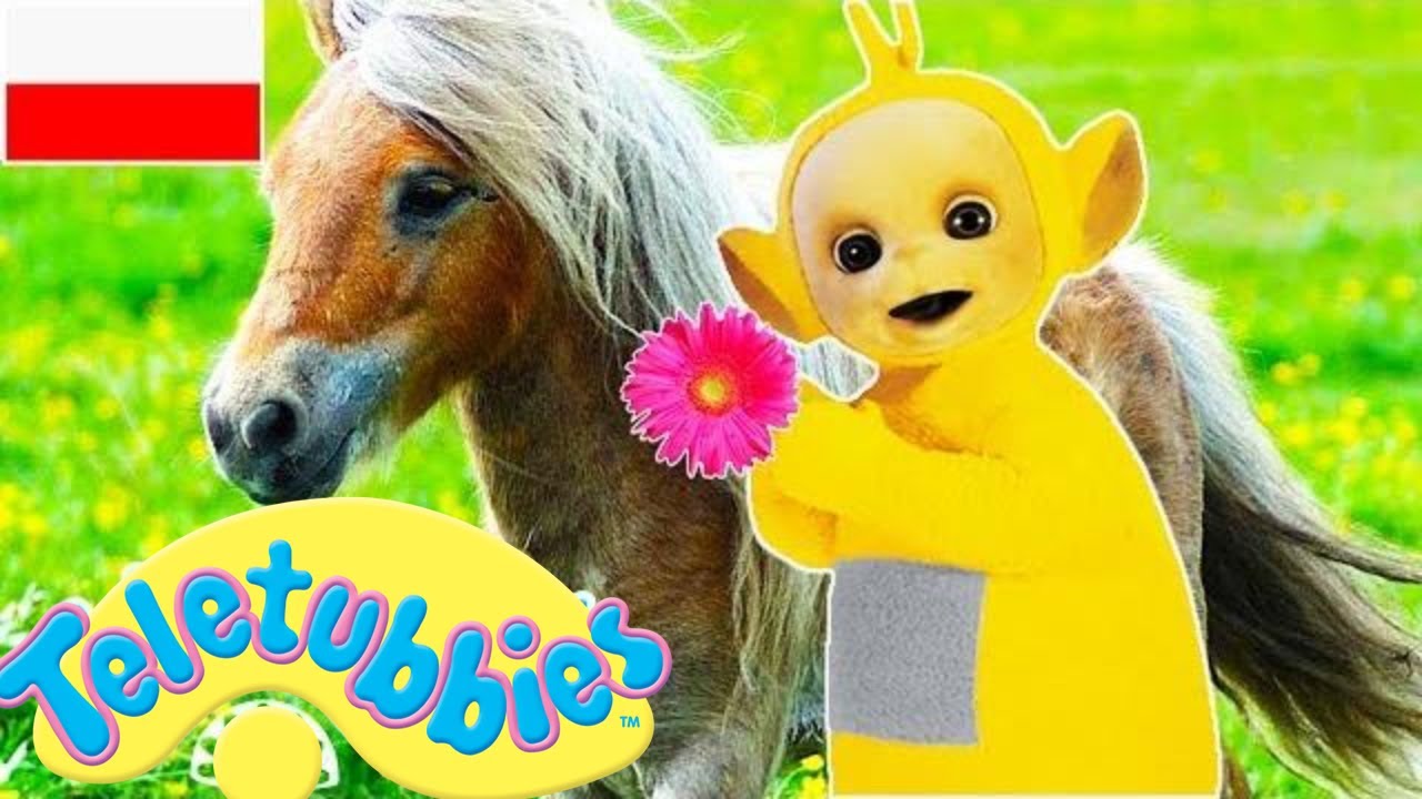 Teletubisie Po Polsku ☆ 73 DOBRA JAKOŚĆ (Pełny odcinek) ☆ Bajki dla ...