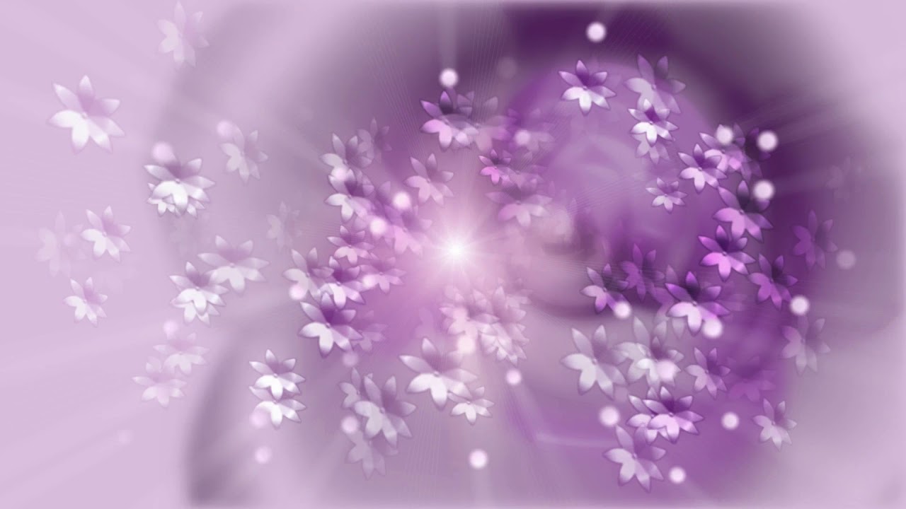 Purple Flowers Motion Background - YouTube