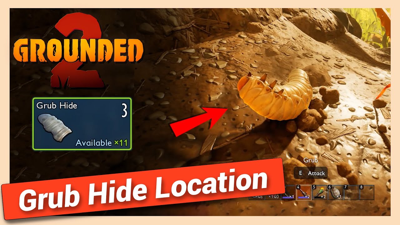 How to Get Grub Hide in Grounded 2 | Grub Location Guide - YouTube