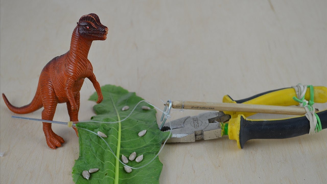 Survival bird trap - How to catch a bird - Catching bird- DIY -Make a ...