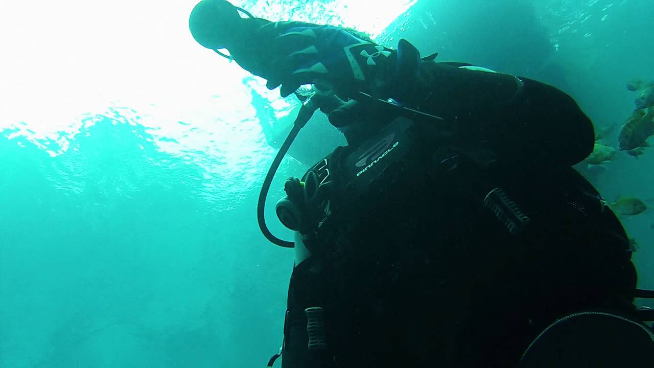 vortex springs cave - YouTube