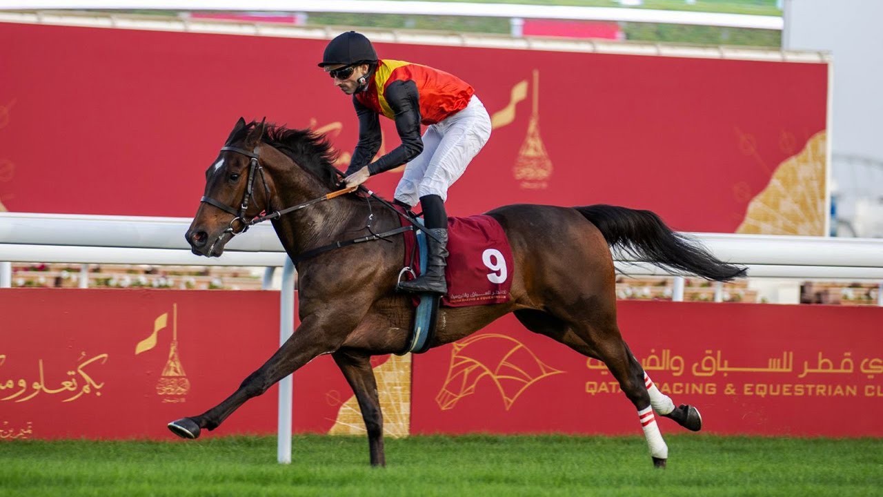 RM 23 Al Rayyan Race 1 - The Late Sheikh Jassim Bin Mohammed Bin Thani ...