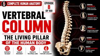 Complete Human Anatomy Episode 8 Vertebral Column – The Living Pillar of the Human Body