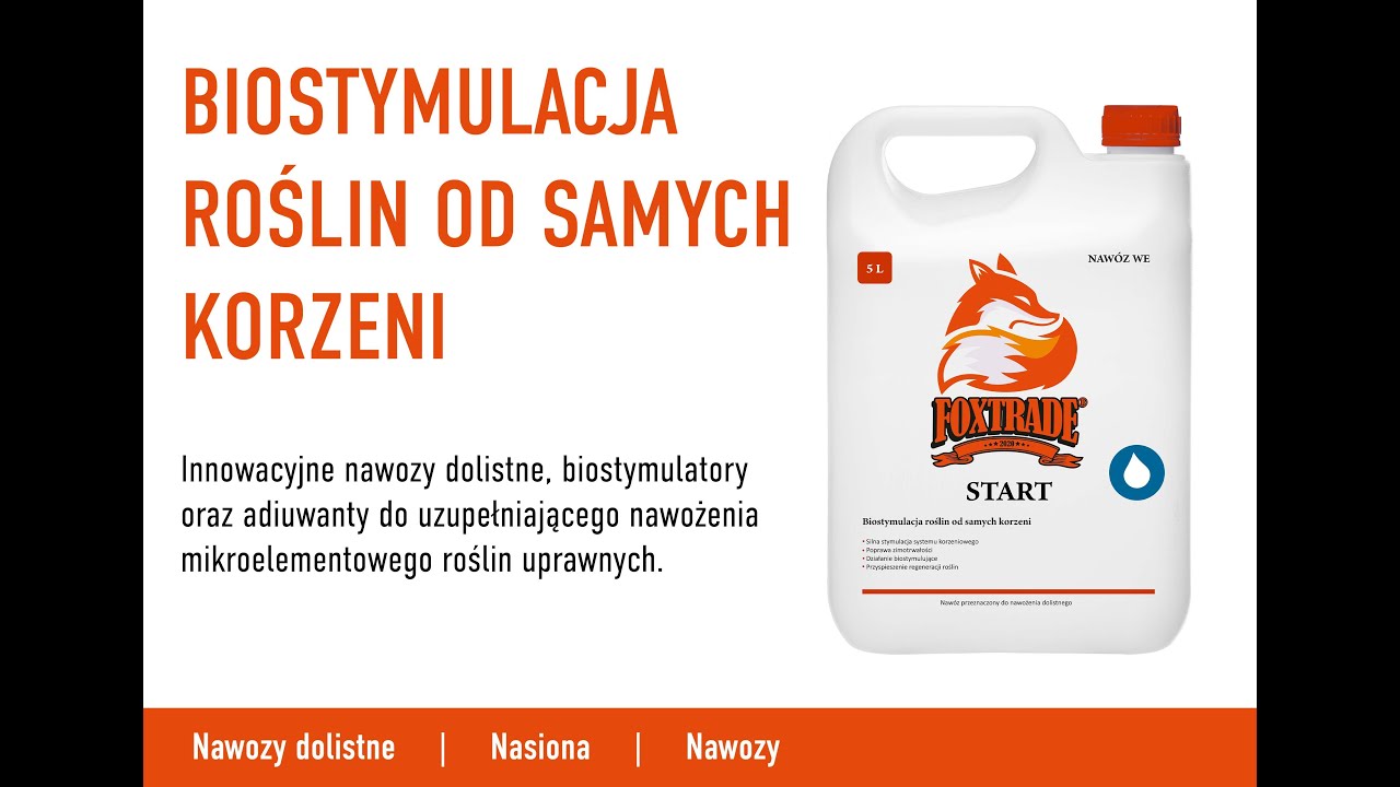 Wybierz FOXTRADE START! - YouTube