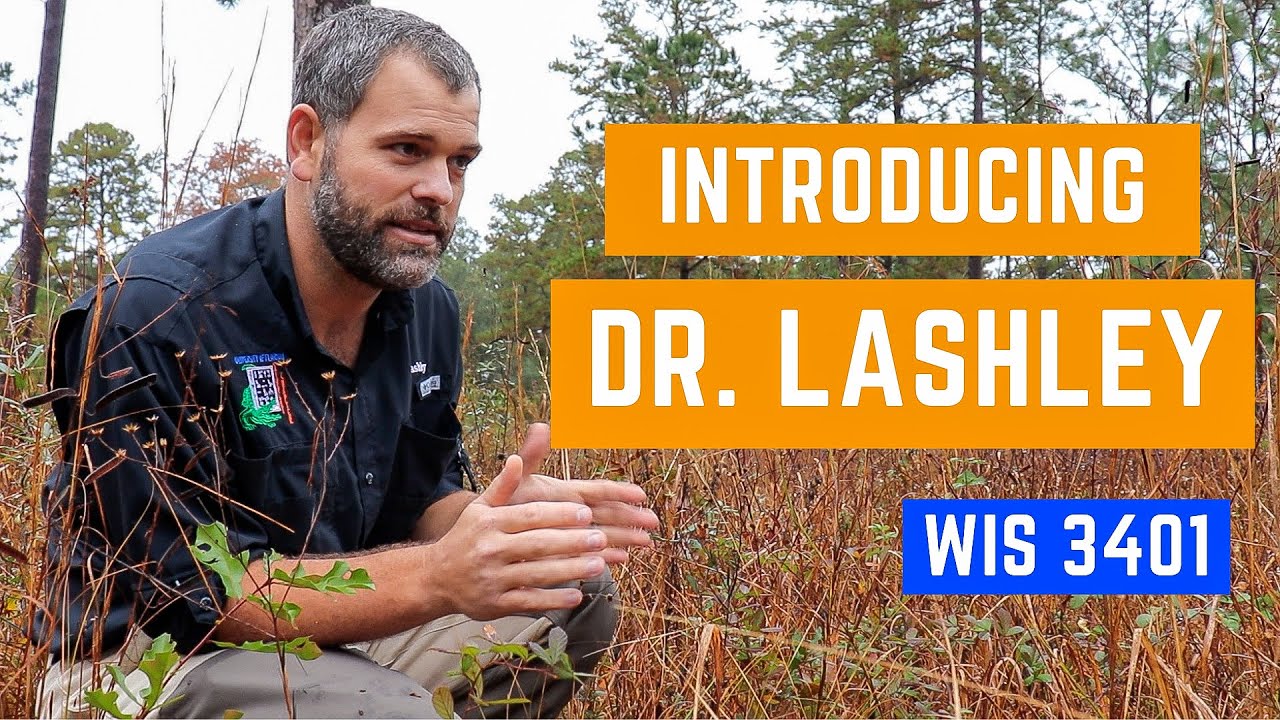 Introducing Dr. Lashley - YouTube
