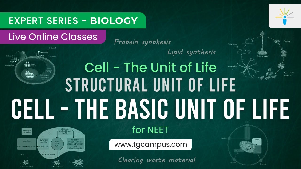 Structural Unit of Life | Cell - The Basic Unit of Life | NEET ...