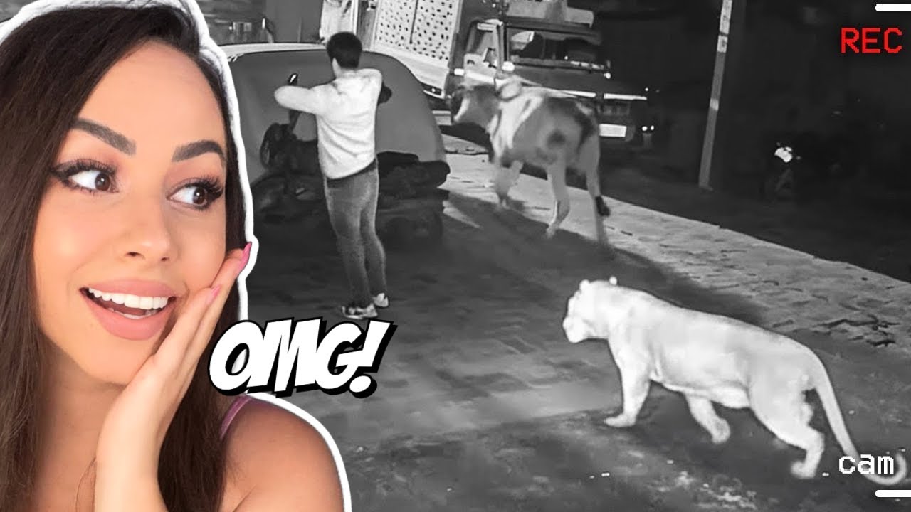 55 Incredible Moments Caught on CCTV Camera | Bunnymon REACTS - YouTube