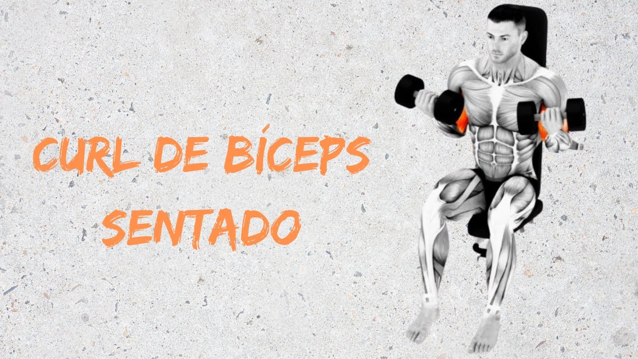 Curl de bíceps sentado, con mancuerna - YouTube