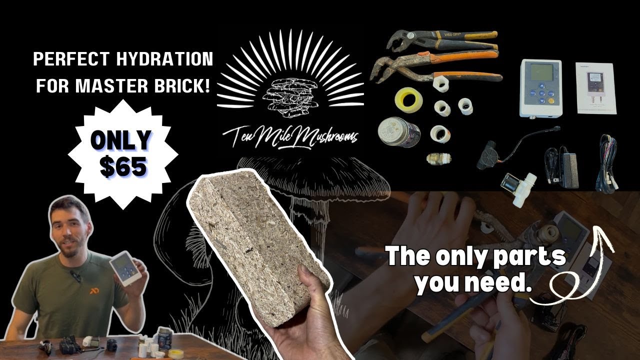 PRECISION Hydration @ The Press Of A Button: Digiten Water Meter for ...