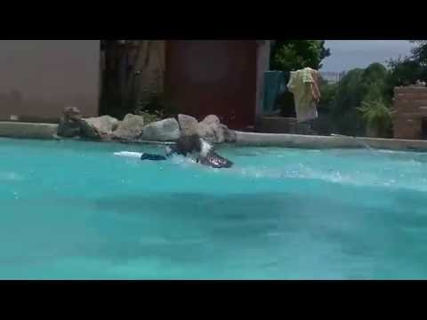 Snap 4 Months Enjoying Swimming