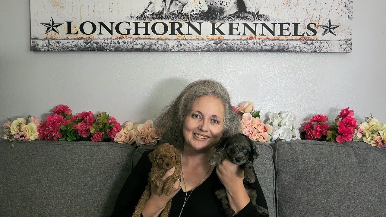 Puppy Paw Press | June 1st | Episode One - YouTube